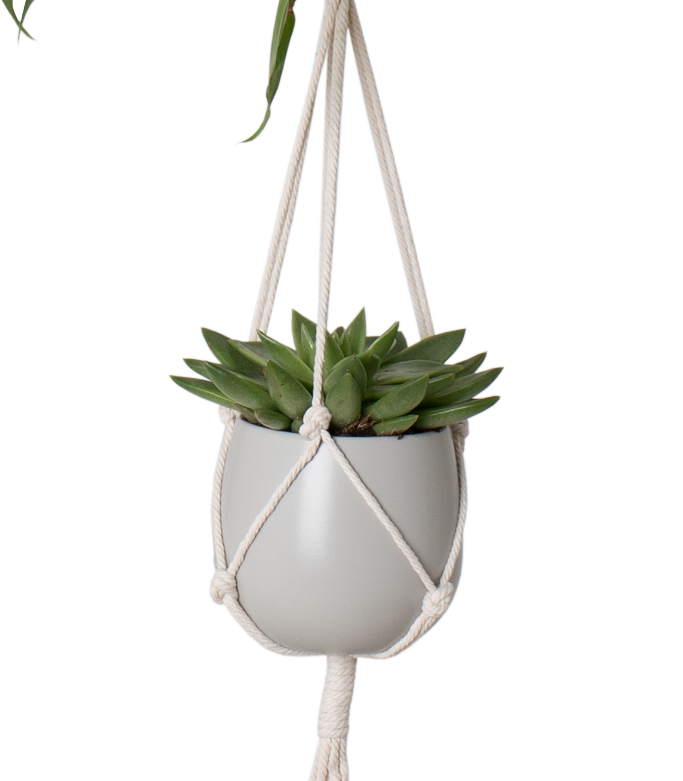 Macrame Double Basic Knot Macrame Double Basic Knot